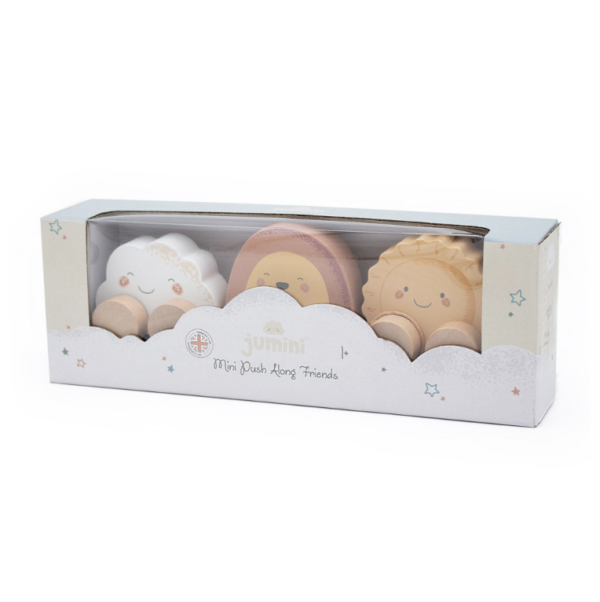Jumini Push Along Friends Toys (Set Of 3) - Not Another Bunch of Flowers